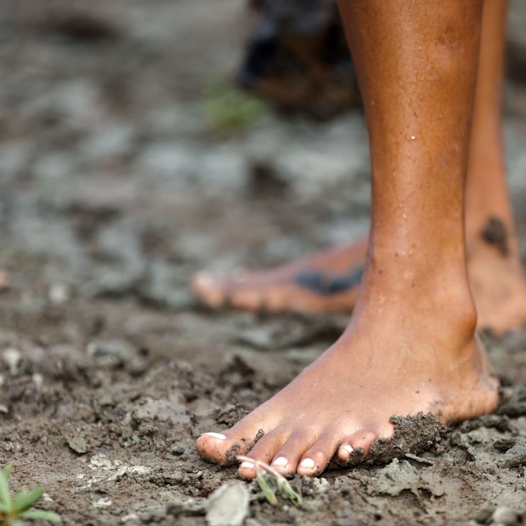 The Schumann Resonance: Earth's Heartbeat and Its Potential Impact on ...